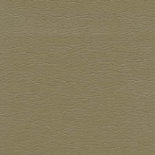 Engle Dental Systems: American-Made Quality Meets State-of-the-Art Design